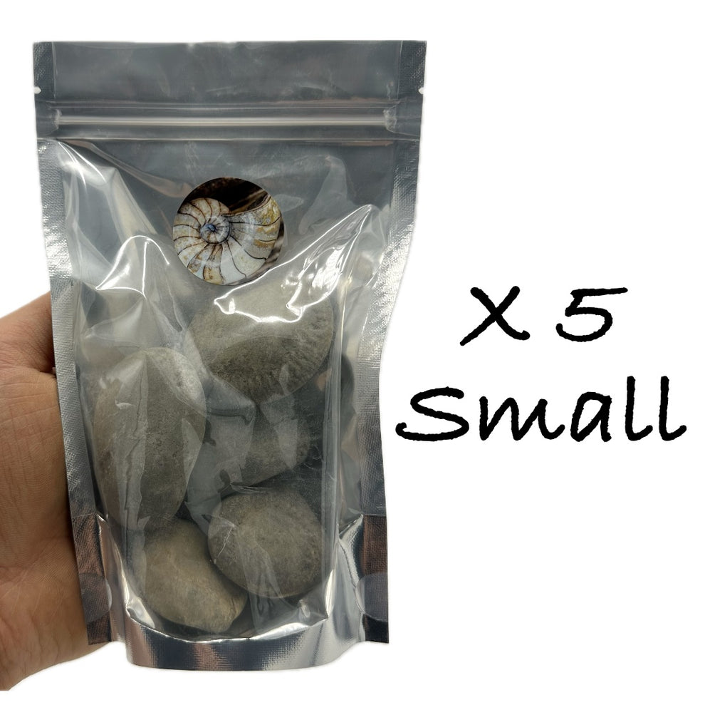 Small Ammonite Nodules x5 ammonite fossil - Whitby, North Yorkshire Ju ...